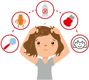 Läuse erkennen: Wie Sie einen Lausbefall feststellen